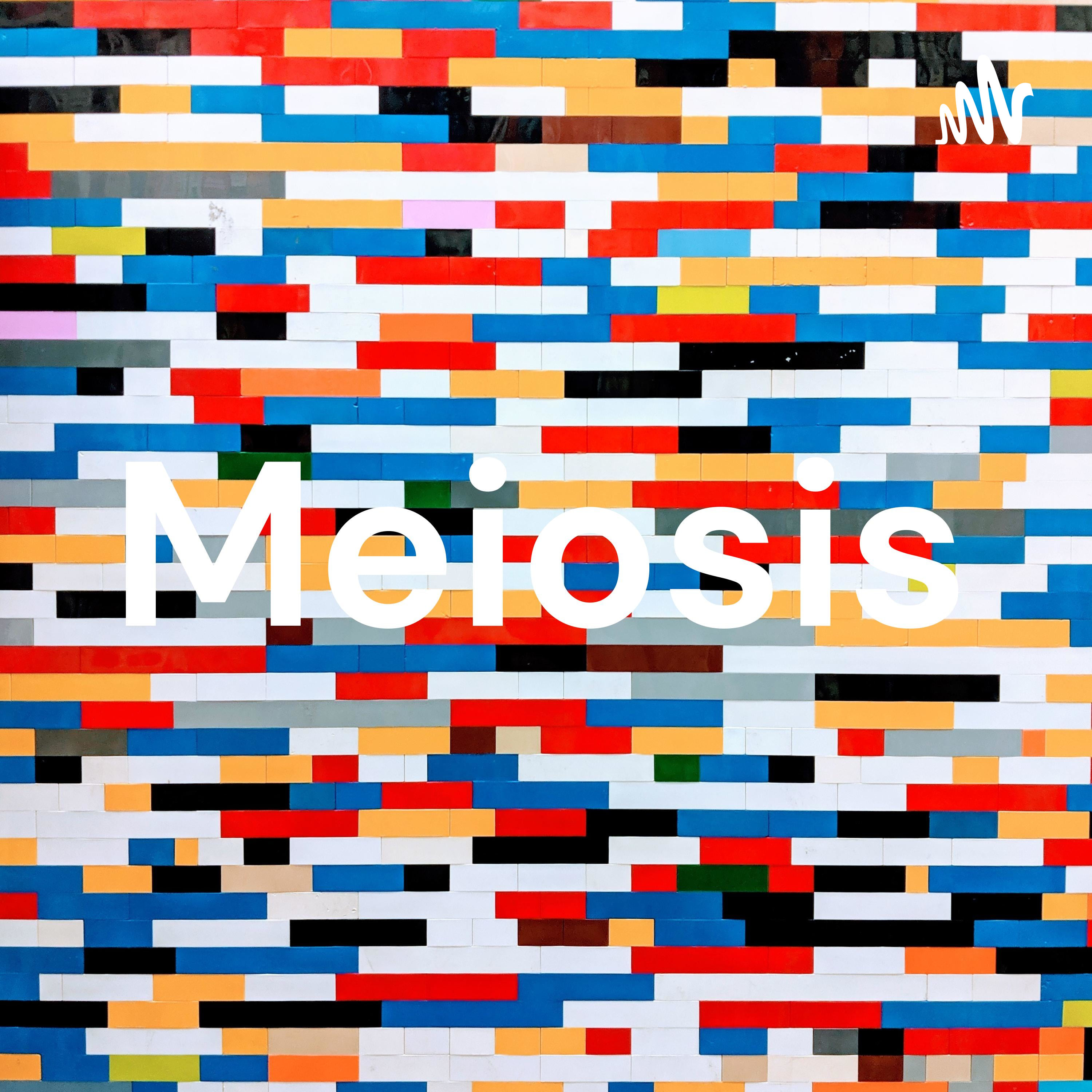 Meiosis PodcastAI Meiosis PodcastAI